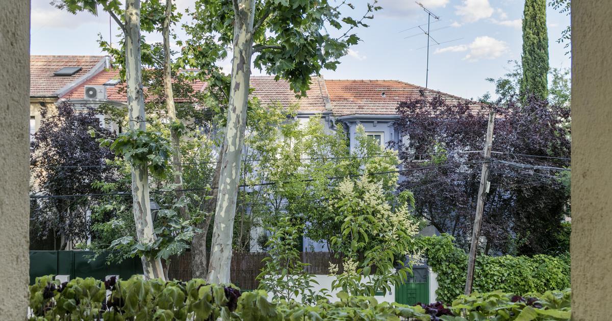 A true urban oasis: Colonia Cruz del Rayo, Madrid.