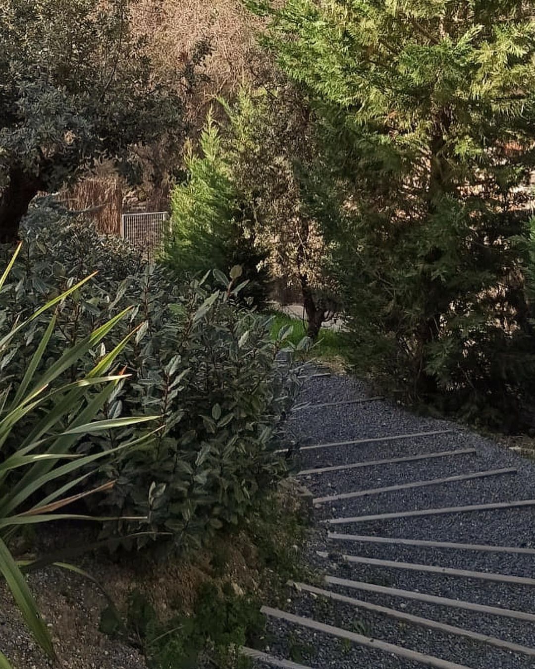 Twelve Spanish landscape architects to inspire your vision for your garden